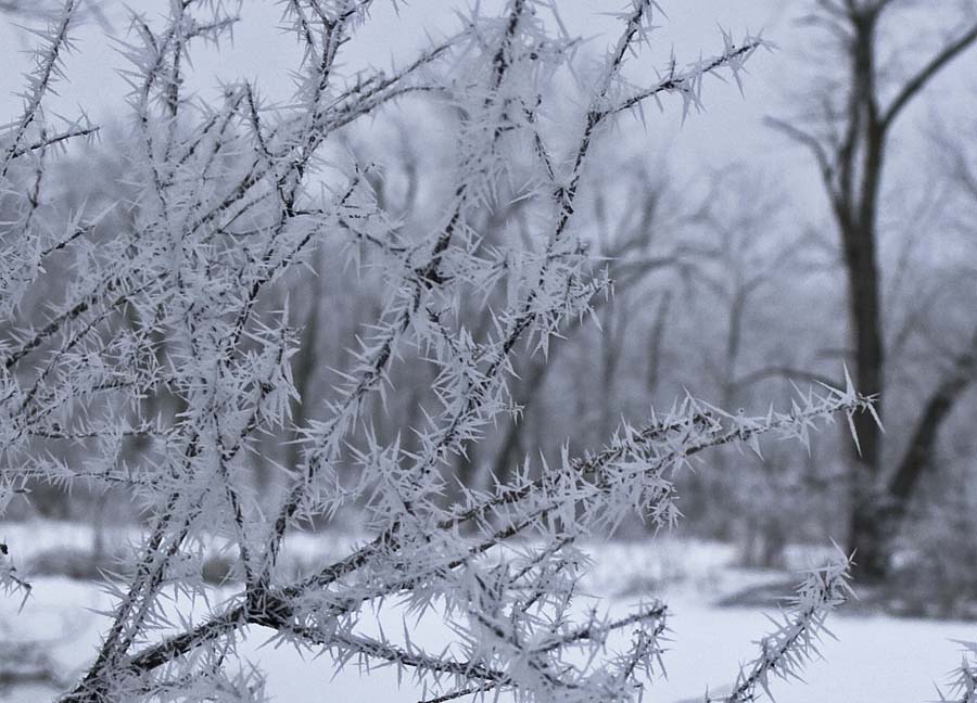 Rime Frost